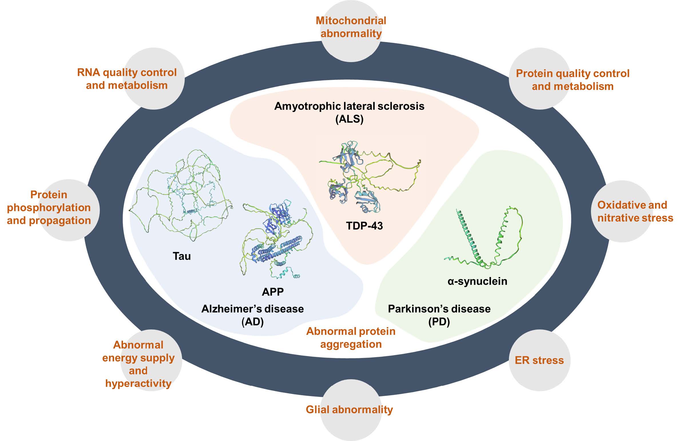 iPSC-based disease modeling and drug discovery in cardinal ...