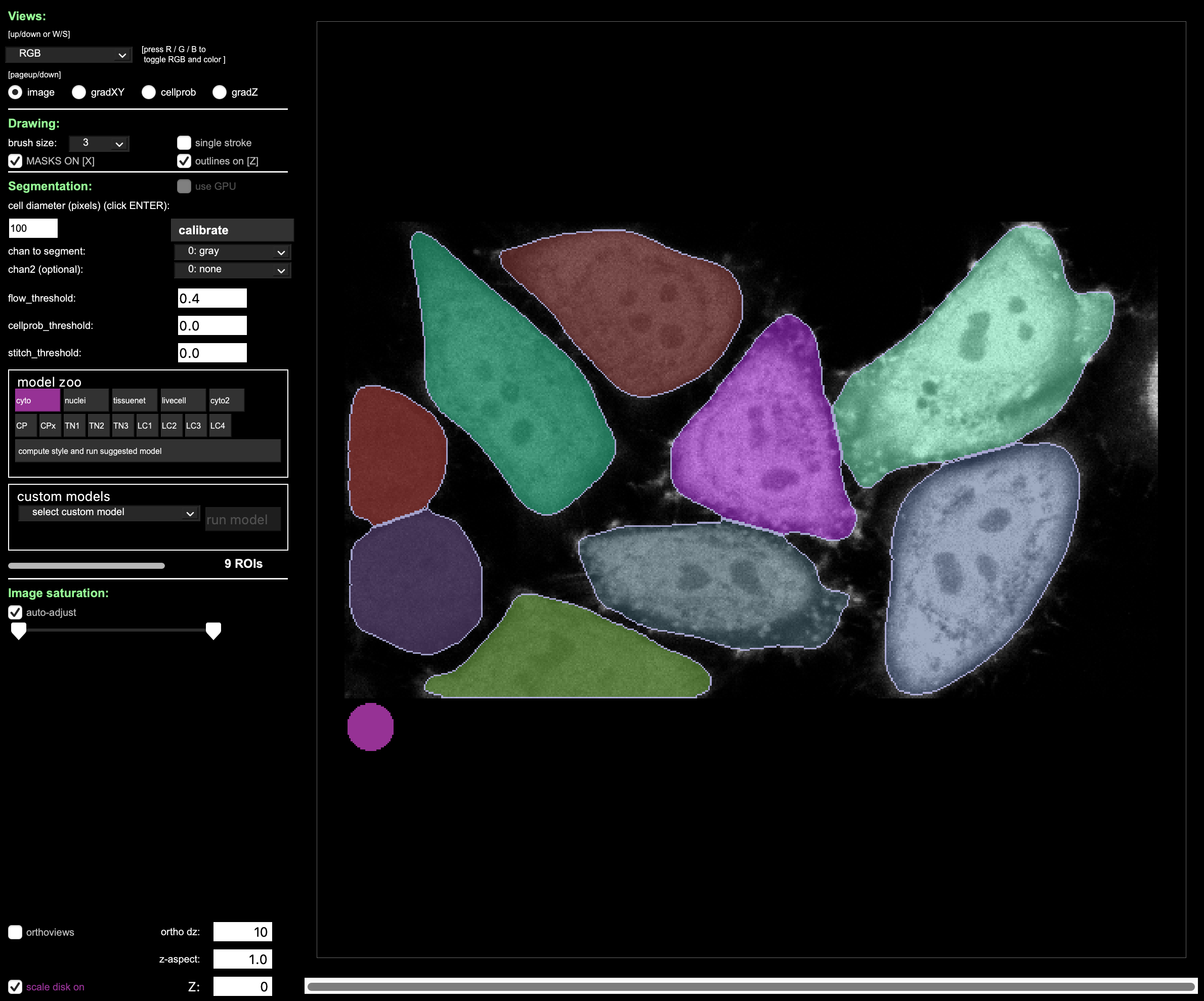 細胞自動セグメンテーションAI - 学術変革領域研究(A) 非ドメイン型バイオポリマーの生物学